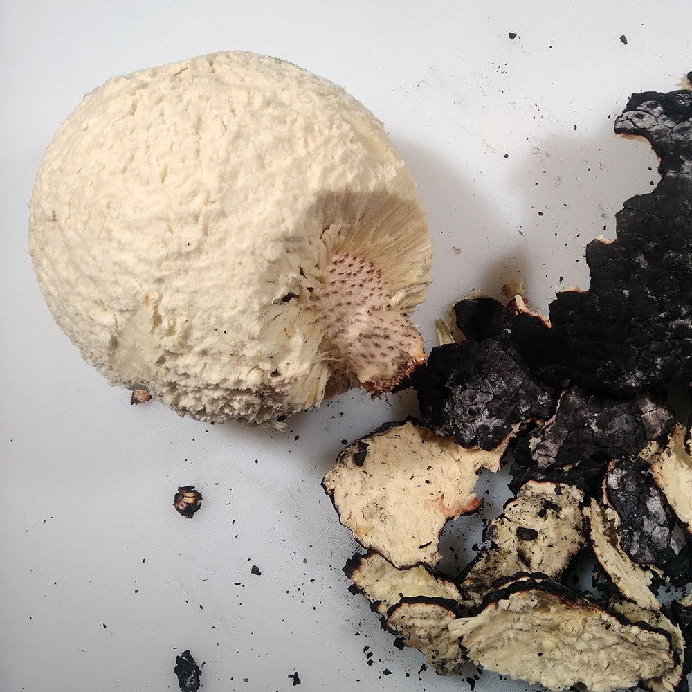 Pūlehu ʻUlu: Fire-Roasted Breadfruit – Hawaiʻi 'Ulu Co-op