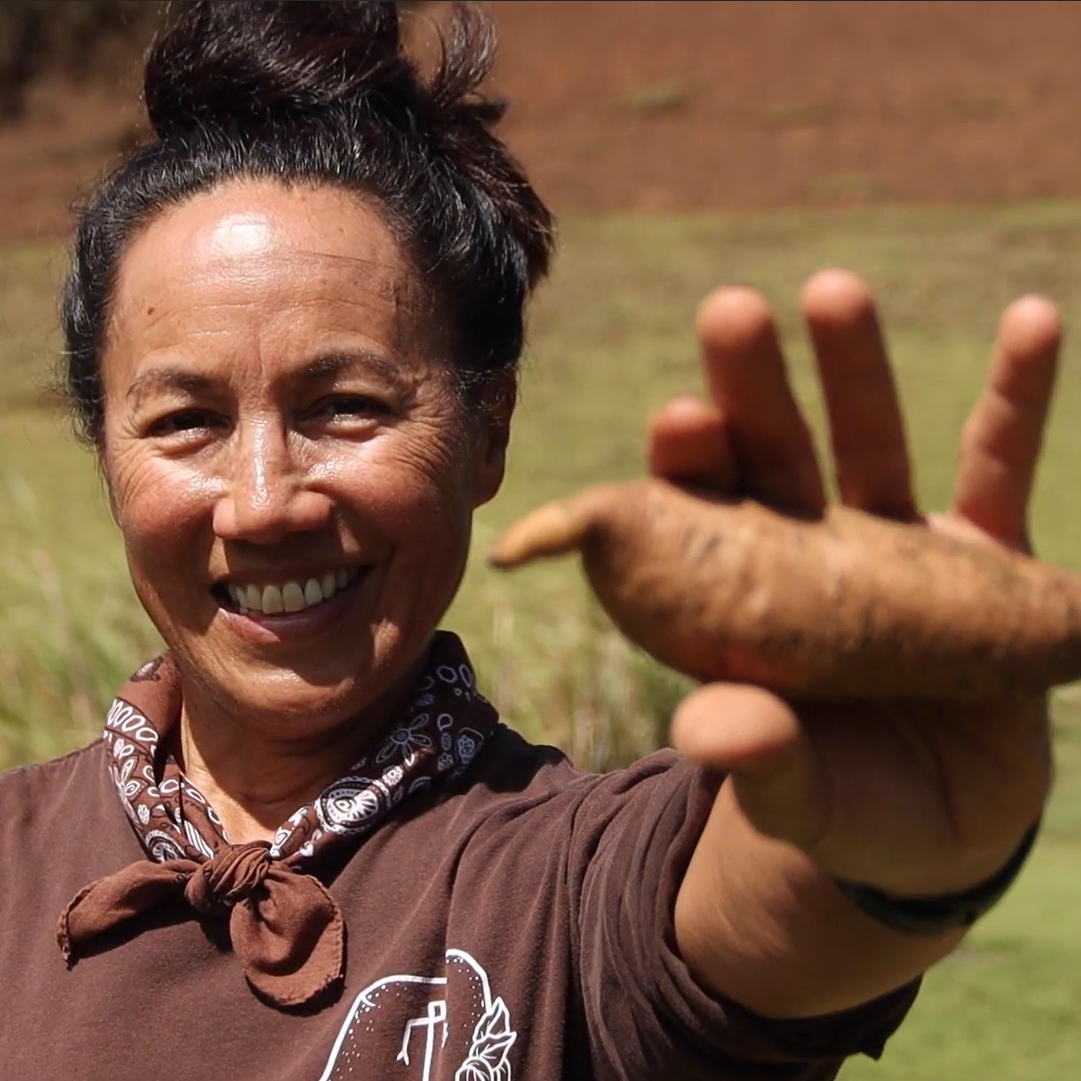 E Hoʻokamaʻāina I Ka ʻUala: Get to Know ʻUala! – Hawaiʻi 'Ulu Co-op