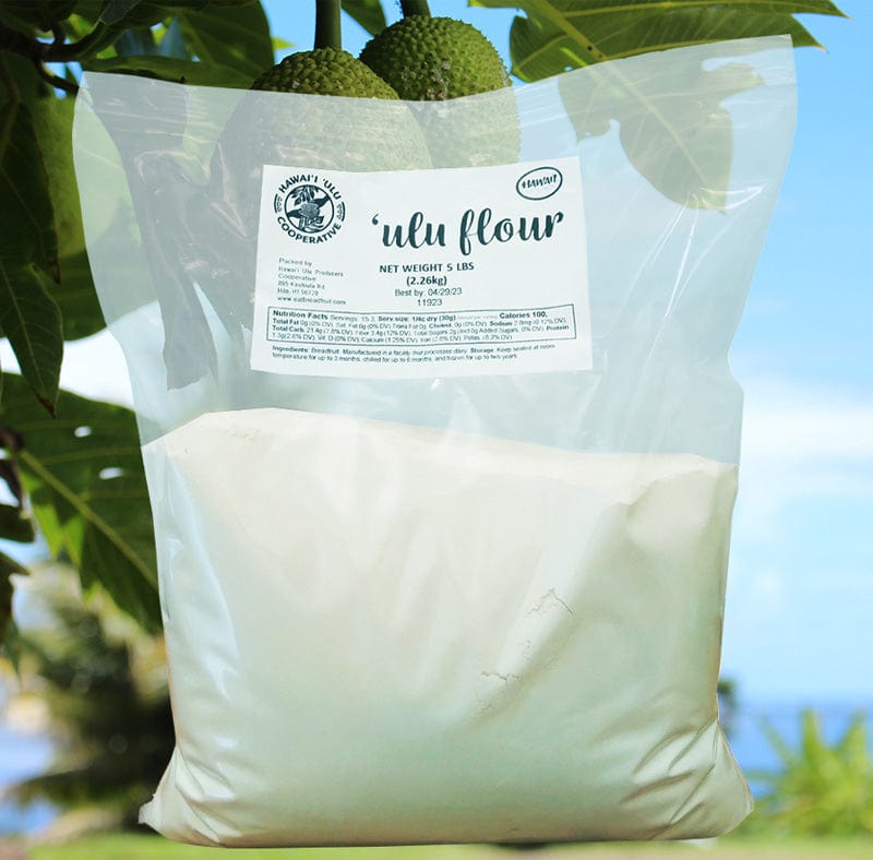 ʻUlu Flour made with Hawaiʻi Grown Breadfruit (Bulk) – Hawaiʻi 'Ulu Co-op