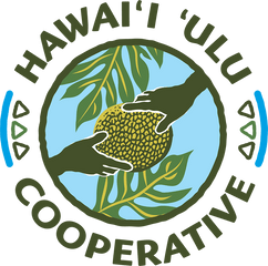 Homemade Breadfruit ('Ulu) Chips Recipe – Hawaiʻi 'Ulu Co-op