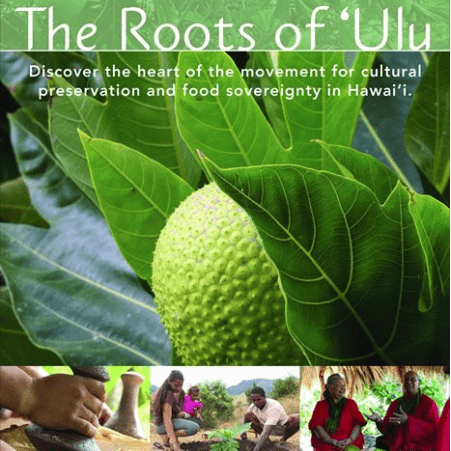 Roots of 'Ulu DVD – Hawaiʻi 'Ulu Co-op