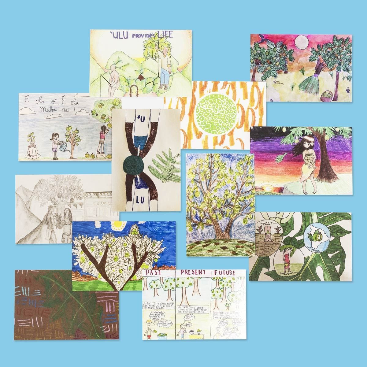 I ʻUlu Postcard Set – Hawaiʻi 'Ulu Co-op